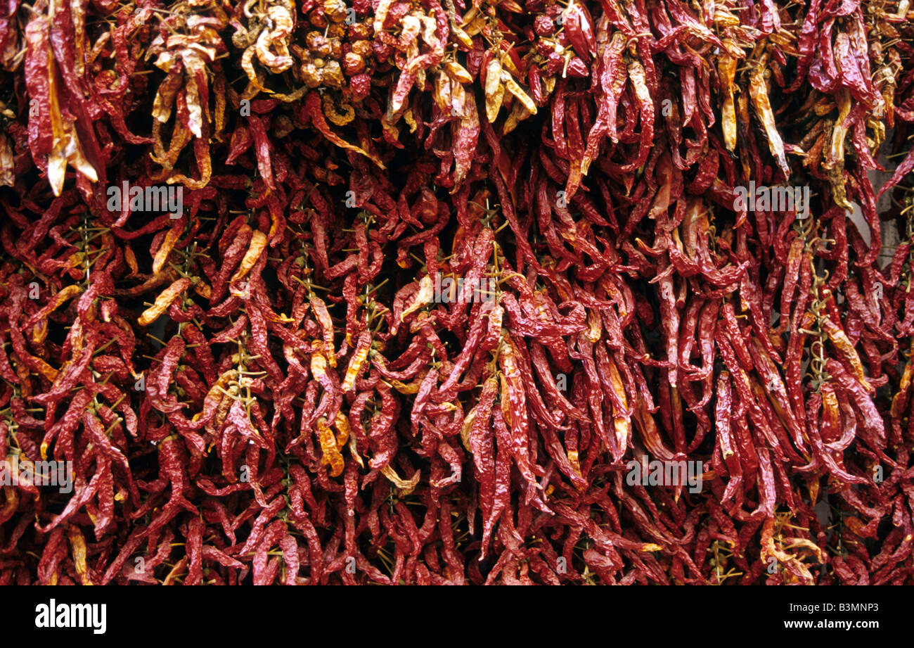 Red chillis drying hi-res stock photography and images - Alamy