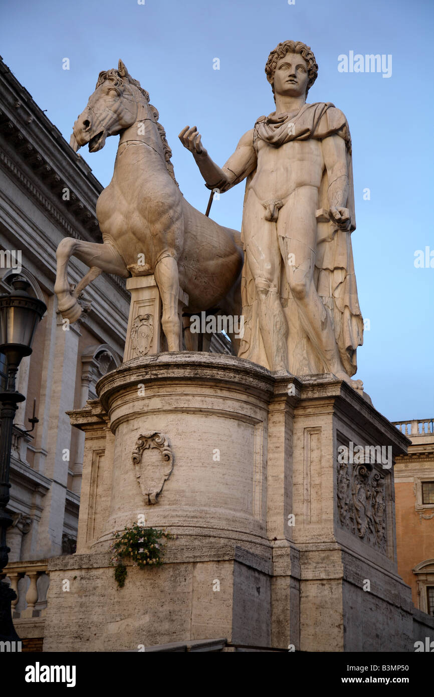 Castor and horse hi-res stock photography and images - Alamy