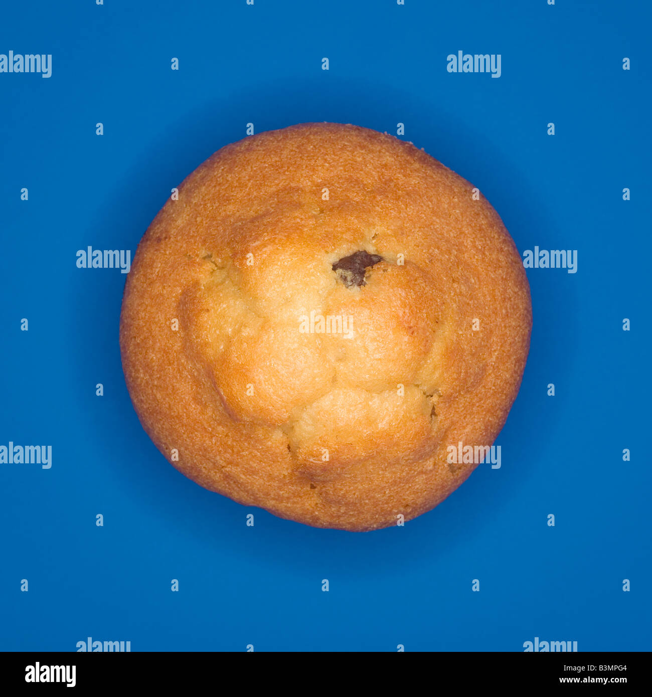 Muffin, elevated view, close-up Stock Photo - Alamy