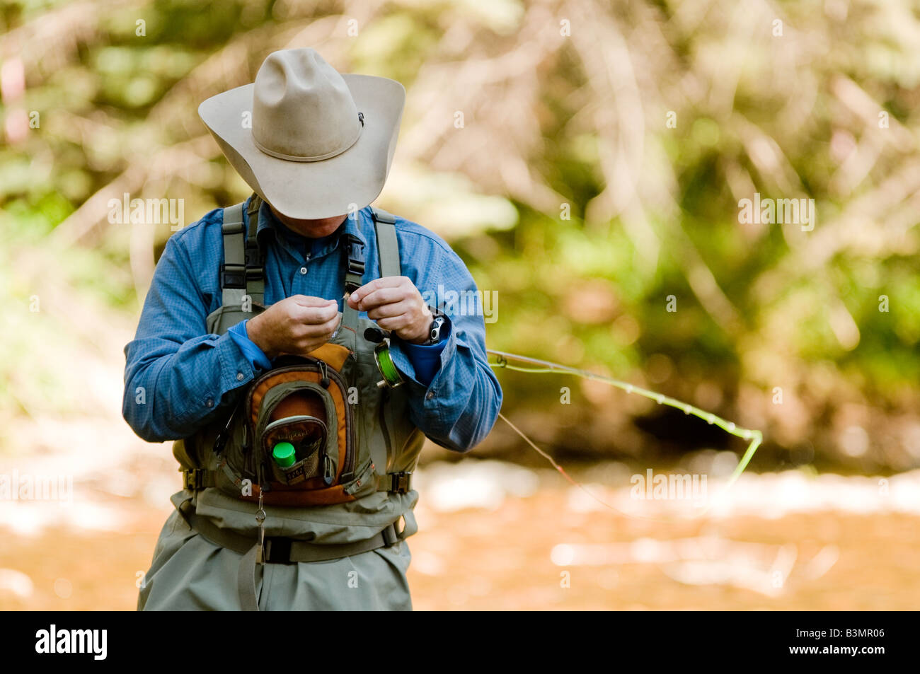 Local resident fly fishes for trout on Gore Creek, Vail, Colorado in ...