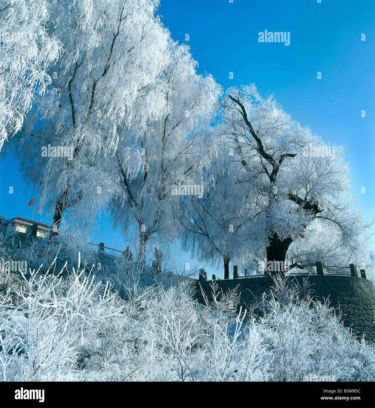 China china jilin winter winter hi-res stock photography and images - Alamy