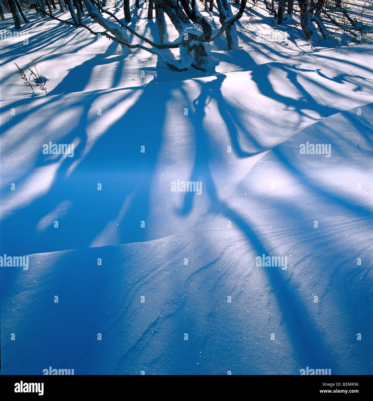 China china jilin winter winter hi-res stock photography and images - Alamy