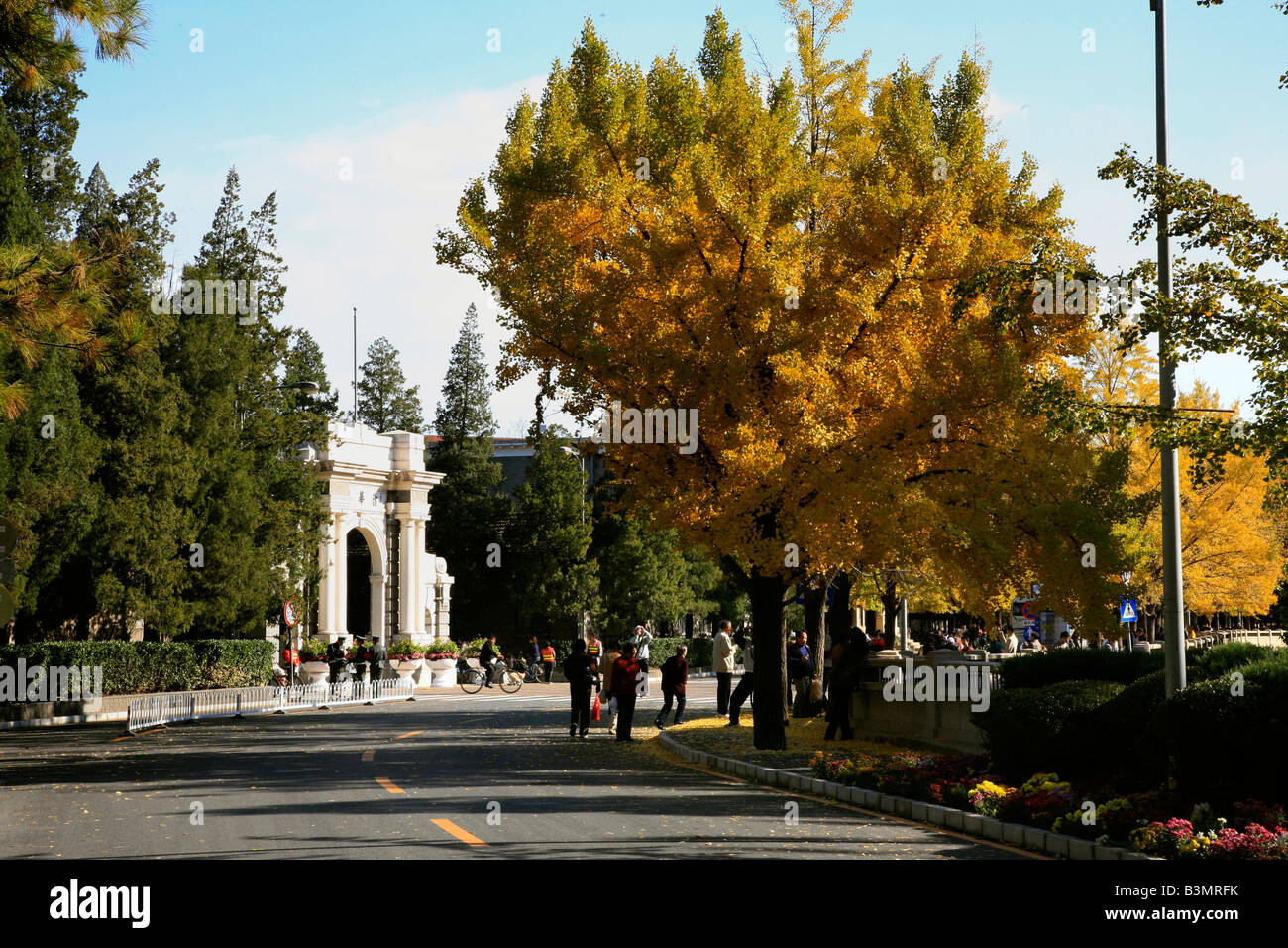 Qinghua university hi-res stock photography and images - Alamy
