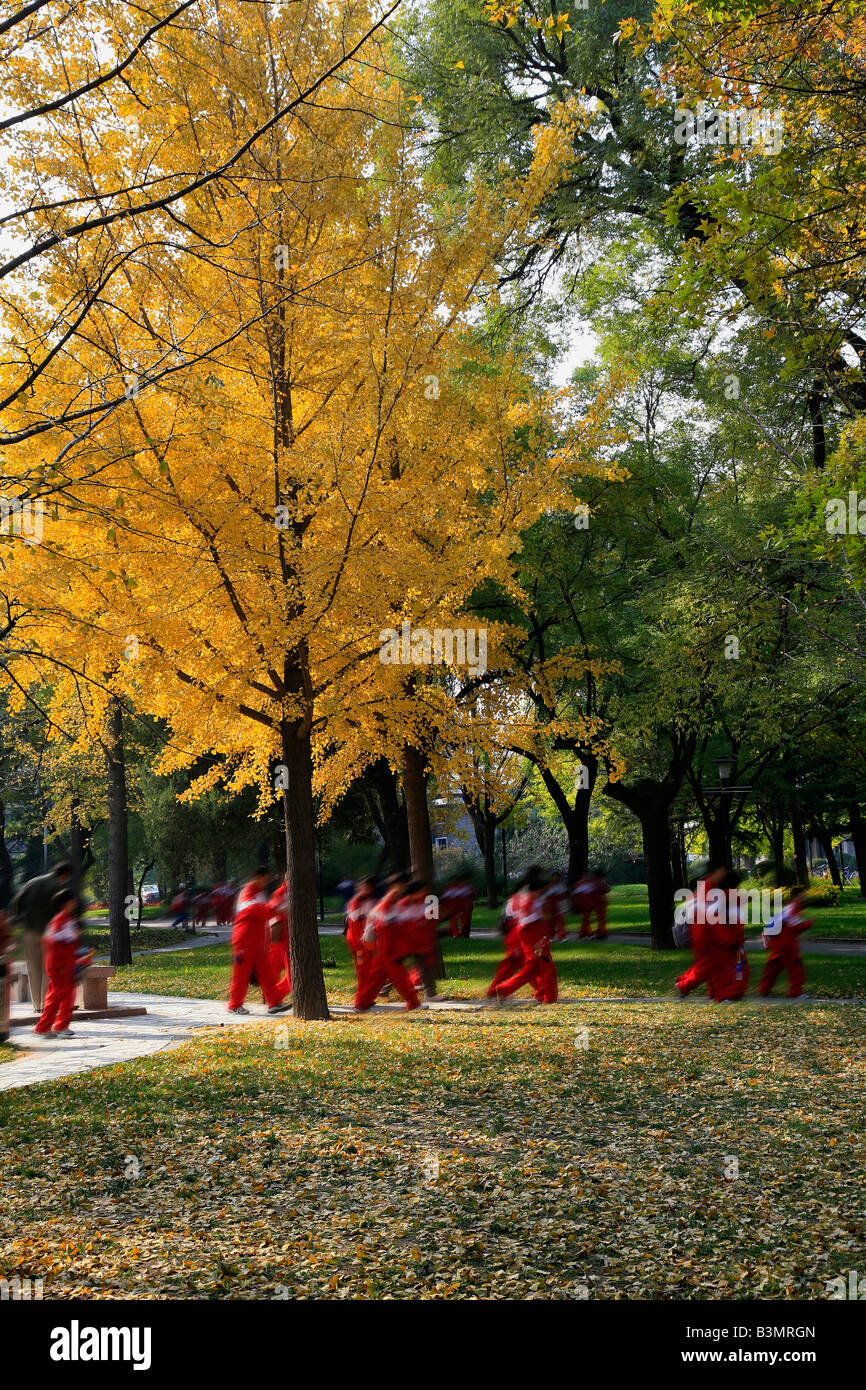 School children planting tree hi-res stock photography and images - Alamy