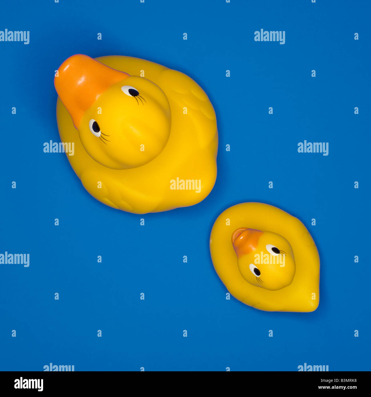 Rubber duck from above hi-res stock photography and images - Alamy