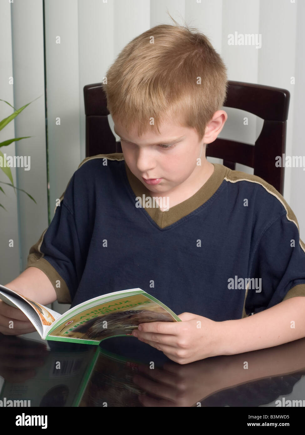 Young boy reading book at dining table Stock Photo - Alamy