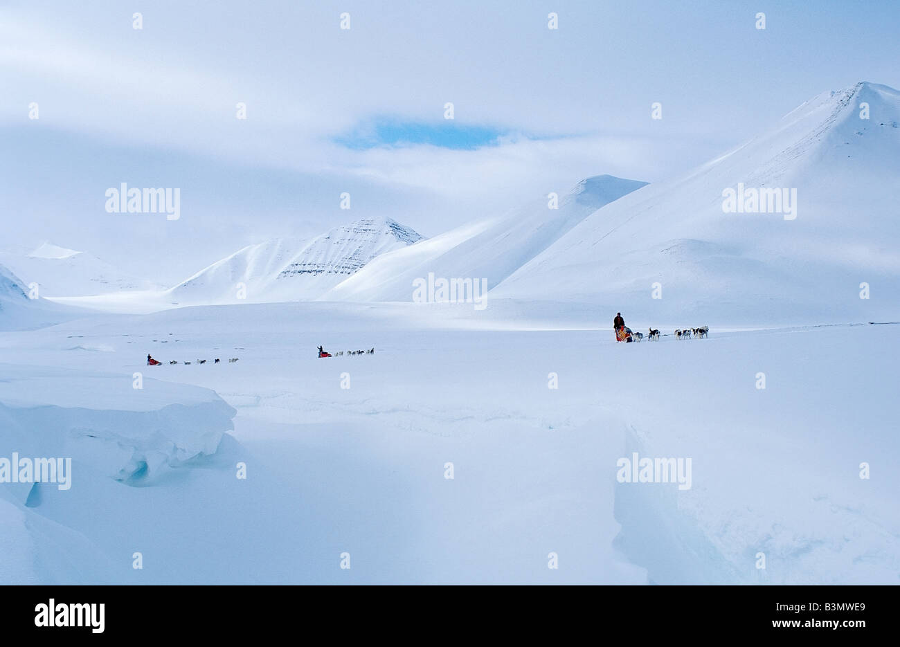 huskies - pulling sledge Stock Photo - Alamy