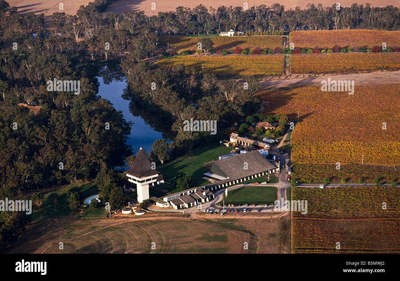 Aerial view of vineyard Stock Photo - Alamy