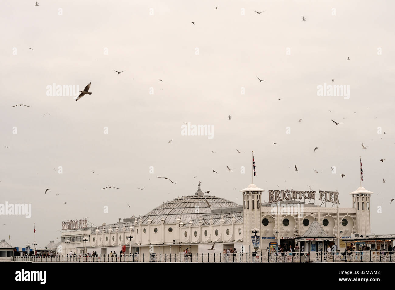 Brighton Pier Birds Stock Photos & Brighton Pier Birds Stock Images - Alamy