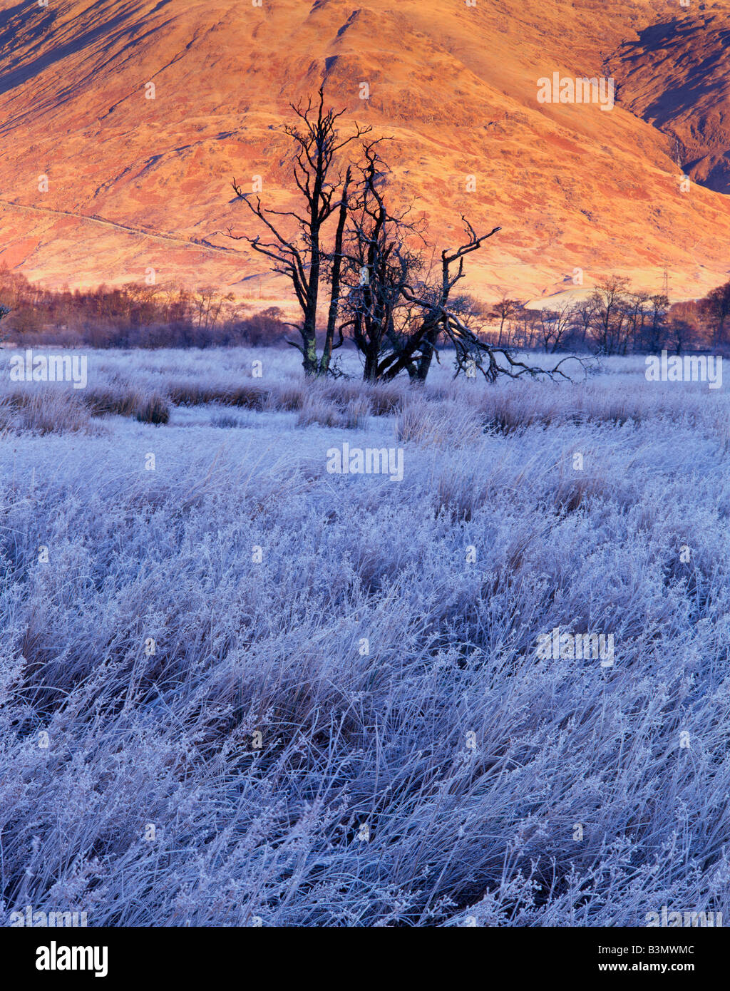 Beinn Eunaich in morning light above frosted grasses by Kilchurn Castle ...