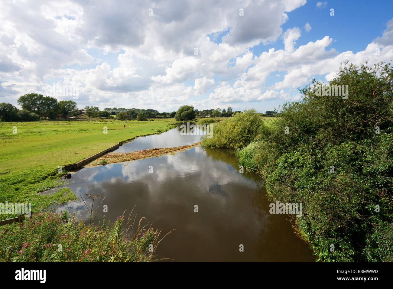 The mill from the portfolio hi-res stock photography and images - Alamy