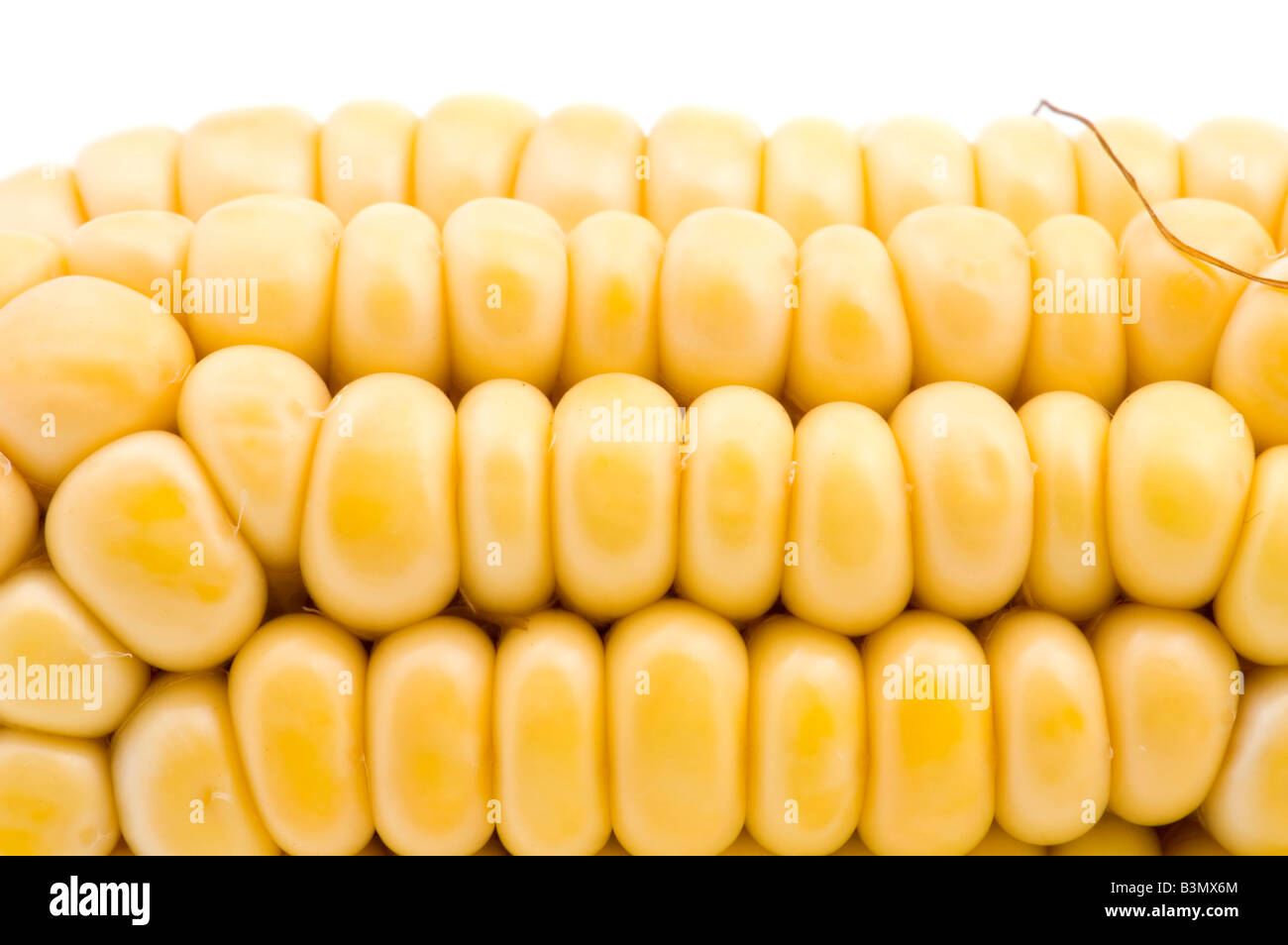 object on white food corn in cob Stock Photo - Alamy
