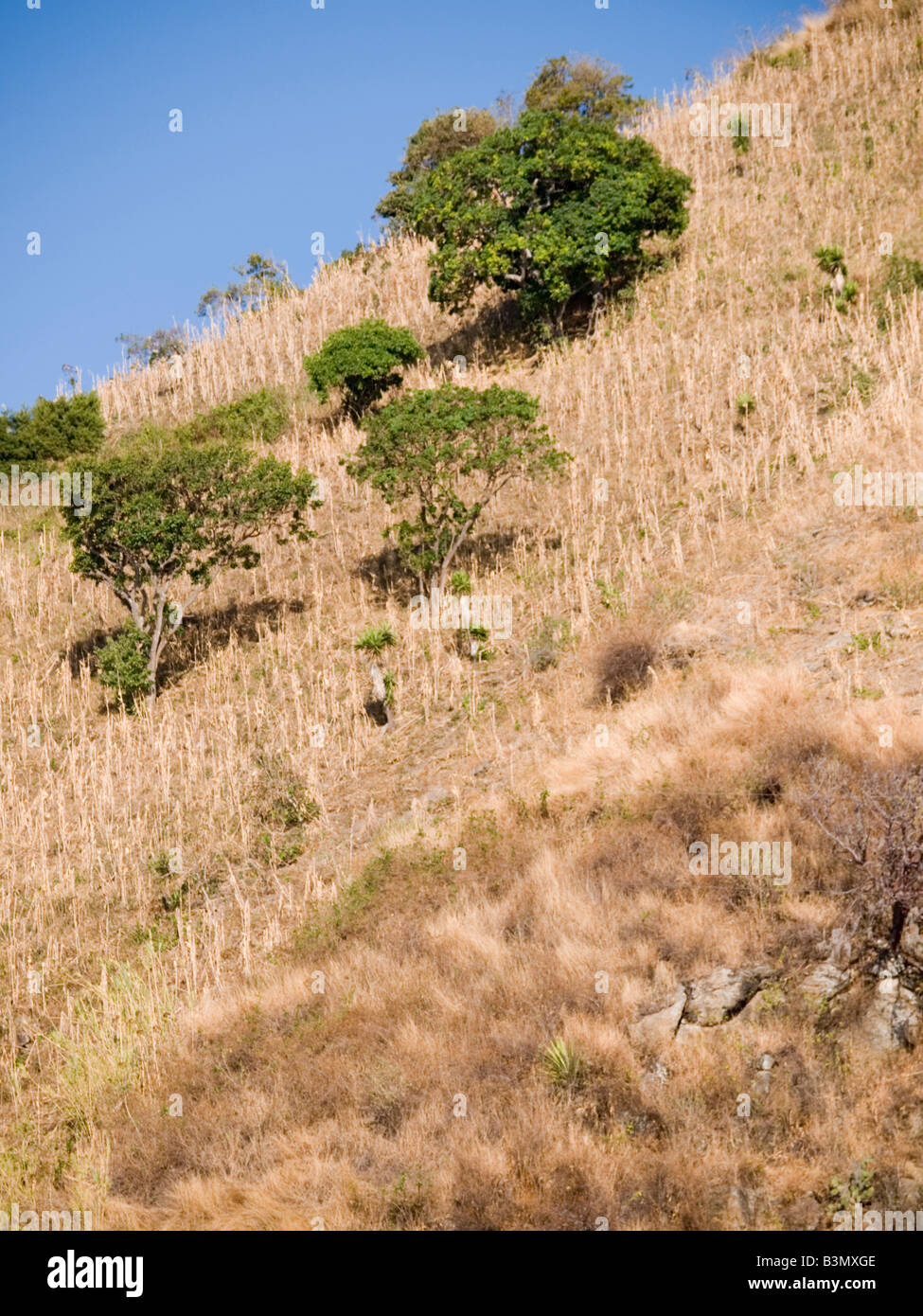 Buildings on steep land hi-res stock photography and images - Alamy