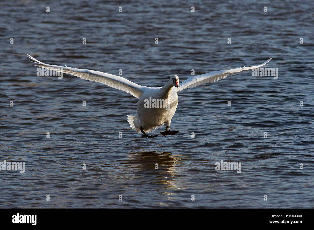Splashdown hi-res stock photography and images - Alamy