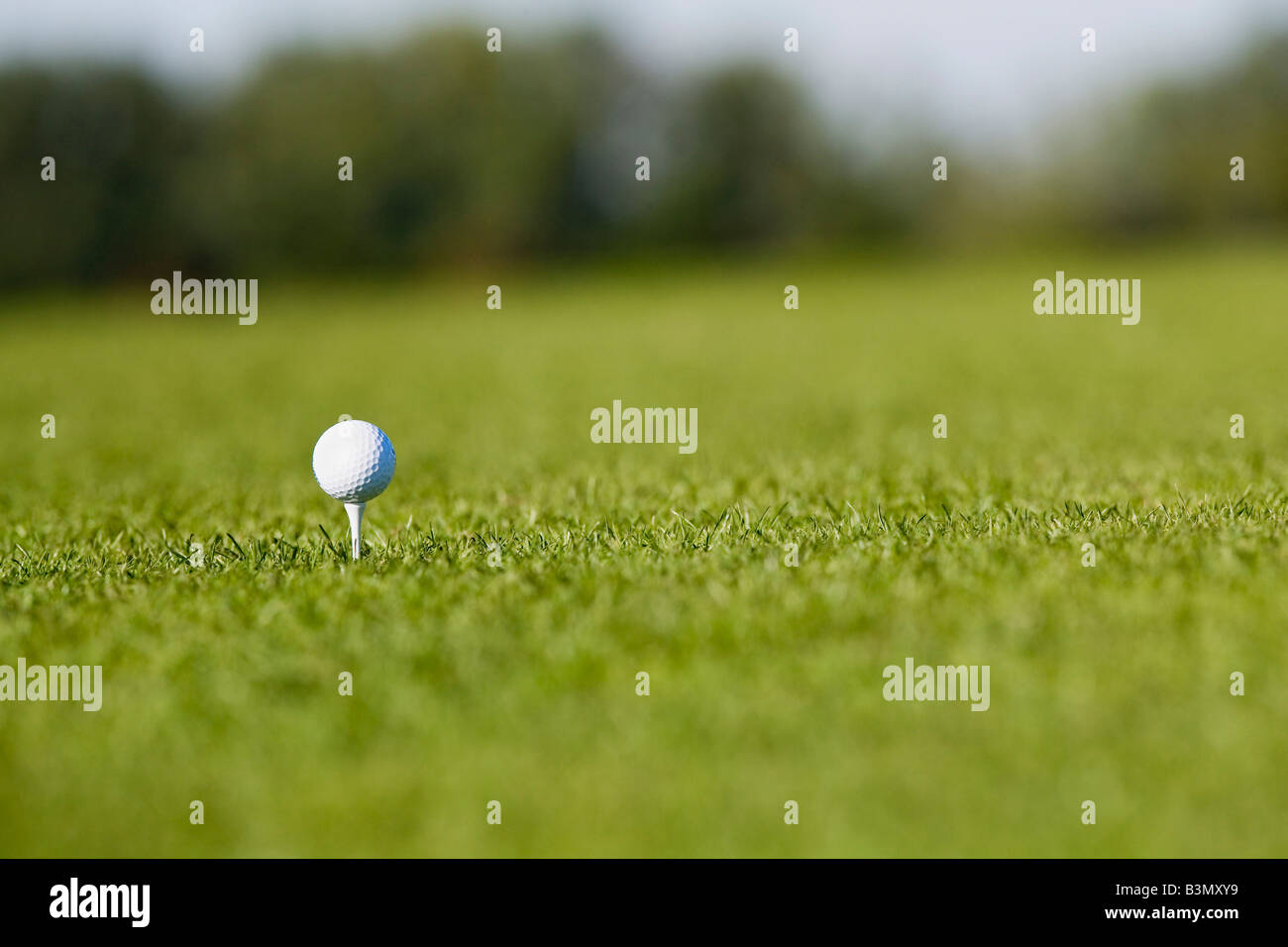 Germany, Bavaria, Munich, Golf ball on golf course, close-up Stock ...
