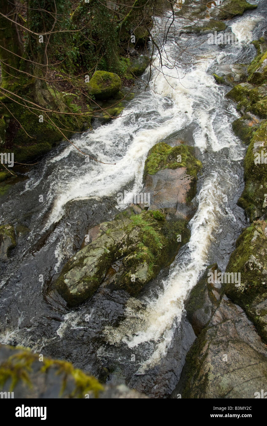 Irish river in Spring Stock Photo - Alamy
