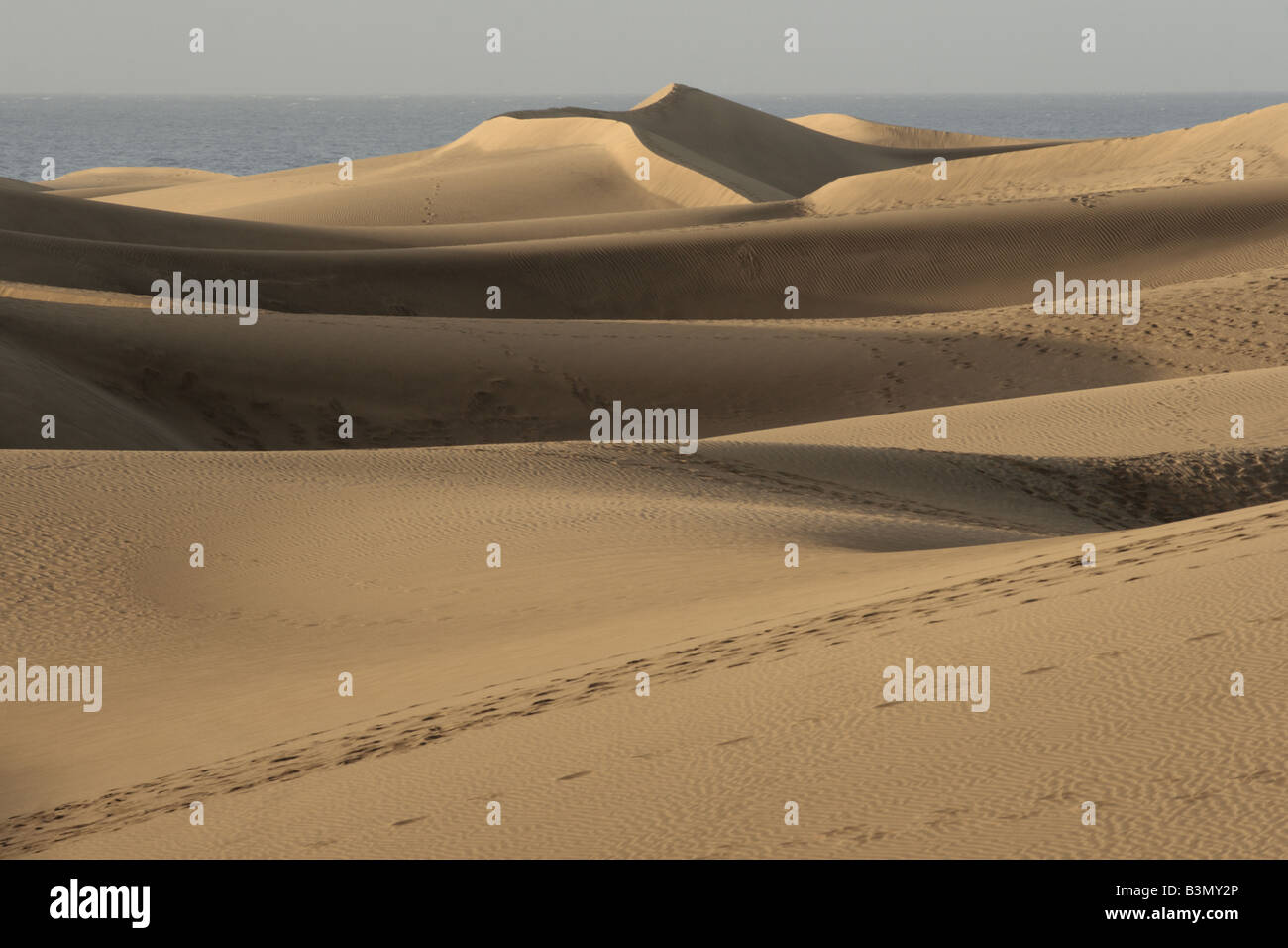 Sand dunes at Maspalomas a 250 hectare natural reserve sculpted by the ...