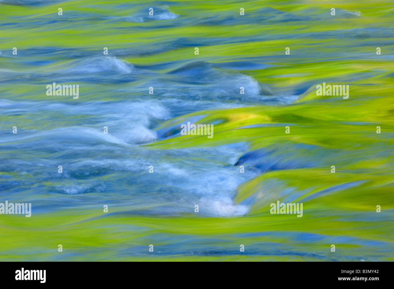 Argen River High Resolution Stock Photography and Images - Alamy