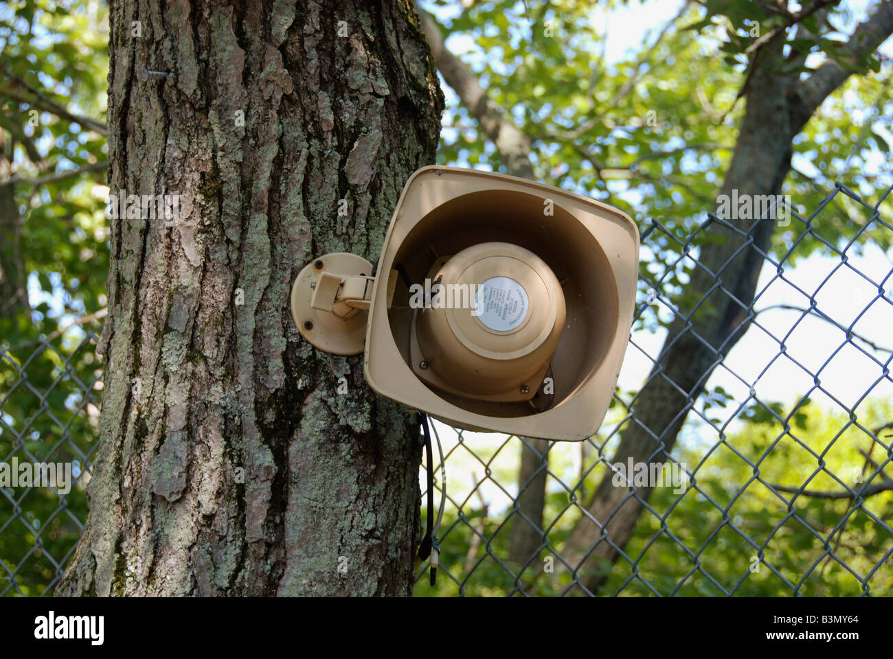 speaker in trees Stock Photo - Alamy