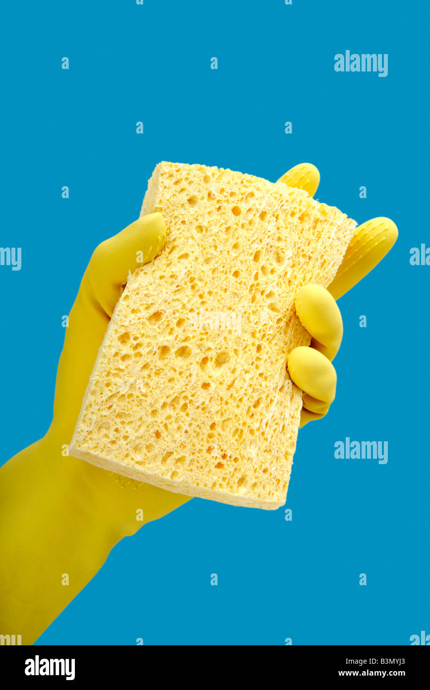 Article sponge hi-res stock photography and images - Alamy