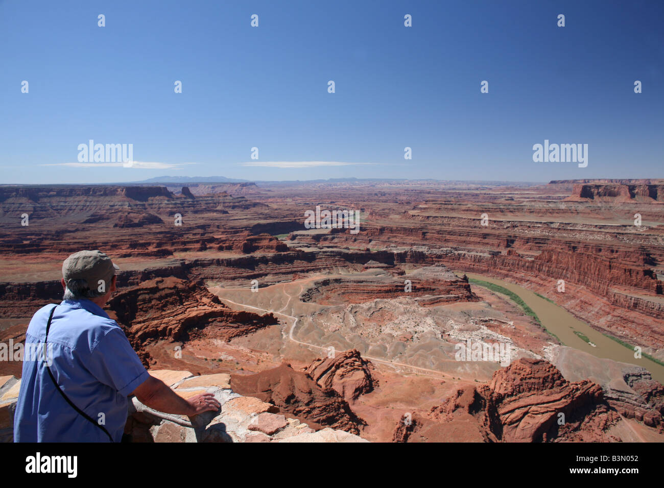 Horse point of view hi-res stock photography and images - Alamy