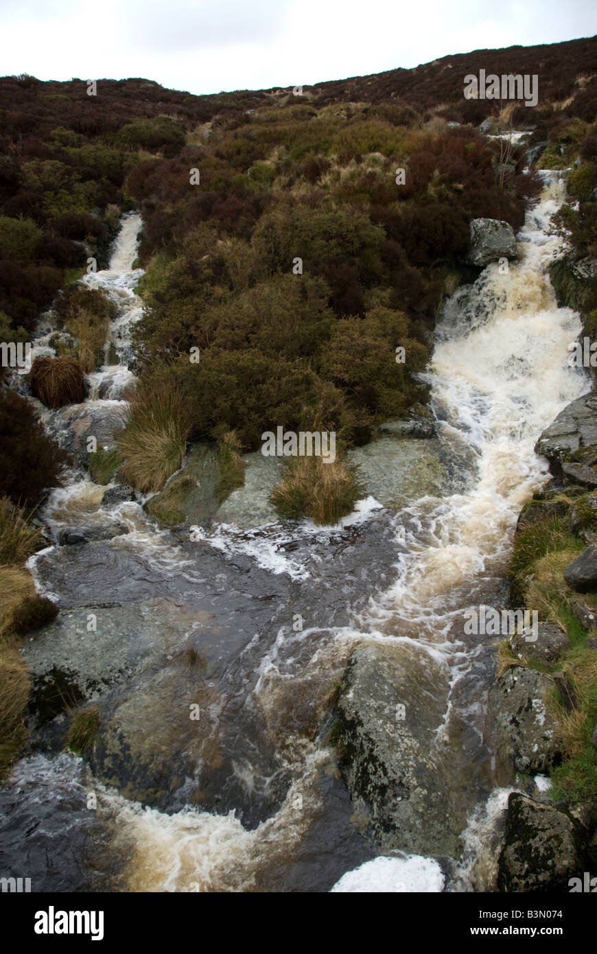 Irish peat bog river Stock Photo - Alamy