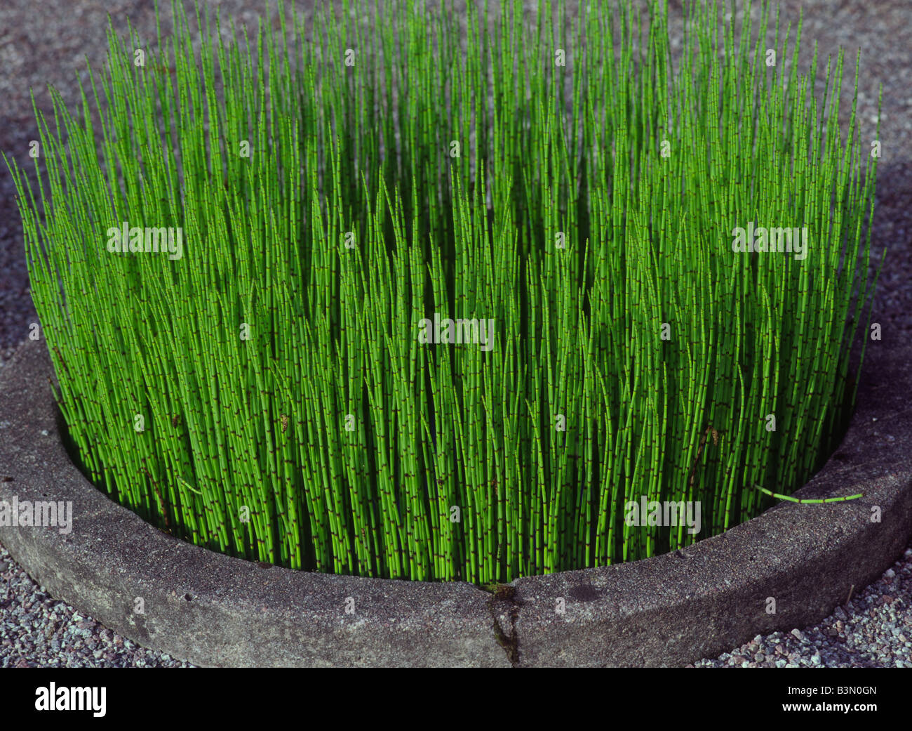 Digress hi-res stock photography and images - Alamy