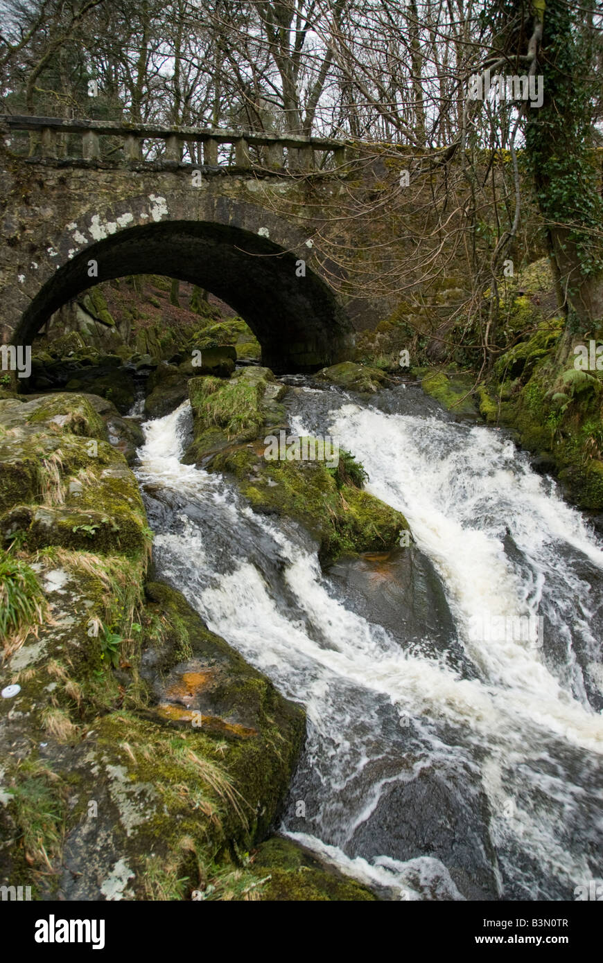 Irish river in Spring Stock Photo - Alamy