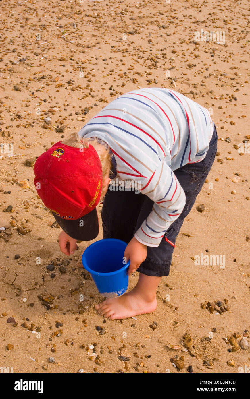 Four year old boy collecting shells on UK beach Stock Photo - Alamy