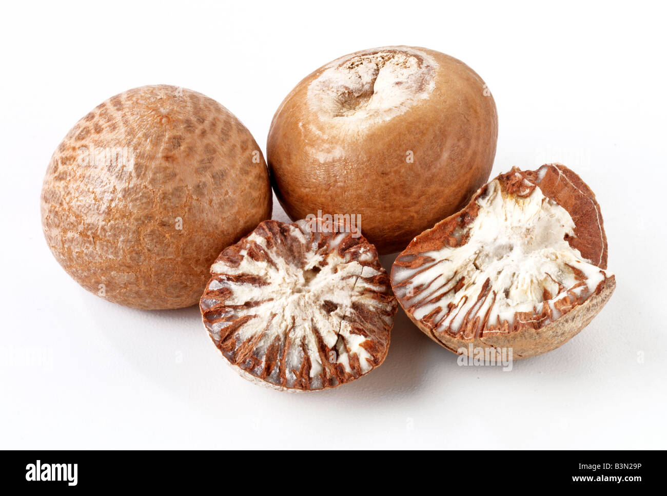 BETEL NUTS OR ARECA NUTS Stock Photo - Alamy