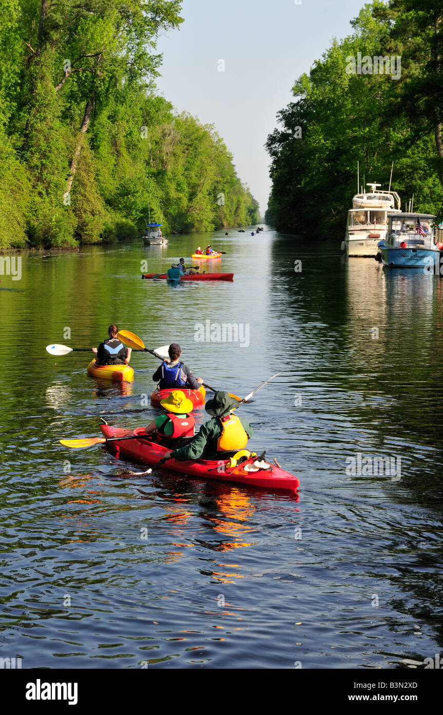 Great dismal swamp boat hi-res stock photography and images - Alamy