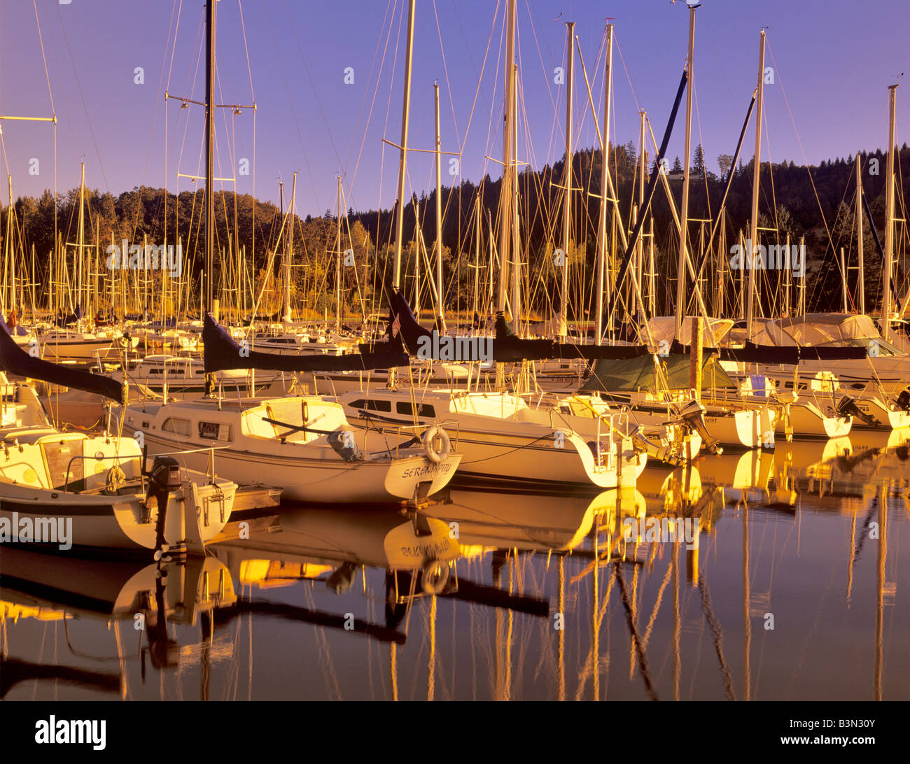 Sailboats at Fern Ridge Reservoir Oregon Stock Photo - Alamy