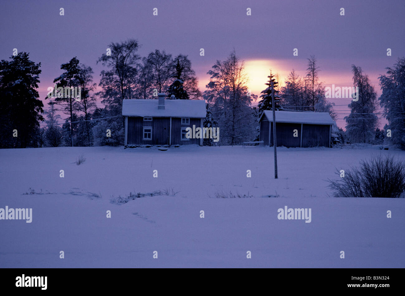 Cold January day in northeastern Finland Stock Photo - Alamy