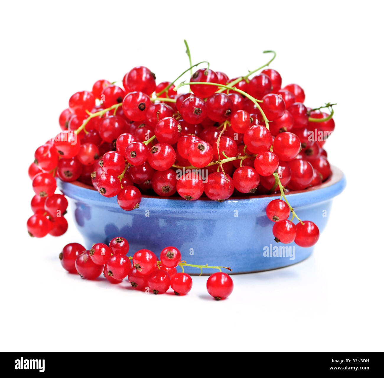 Red currant berries isolated on white background Stock Photo - Alamy