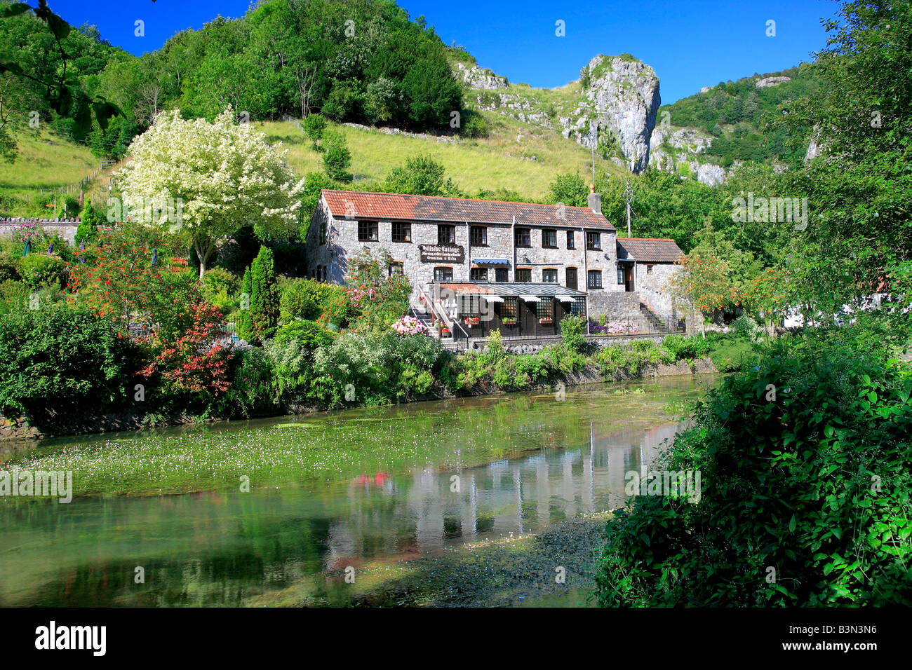 River Yeo Landscape Geology of Cheddar Gorge Somerset County England UK ...