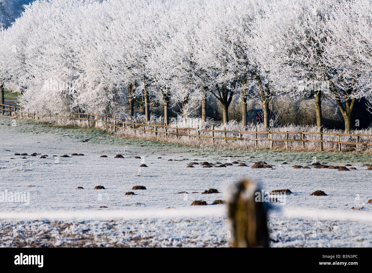 Germany, Lower Saxony, Vahrendorf, winter scenery Stock Photo - Alamy