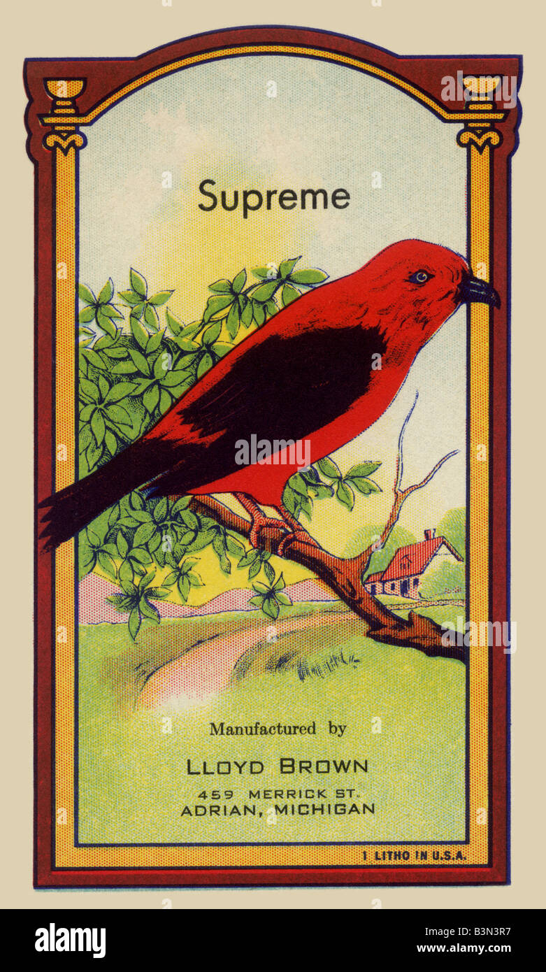 Red bird label hi-res stock photography and images - Alamy