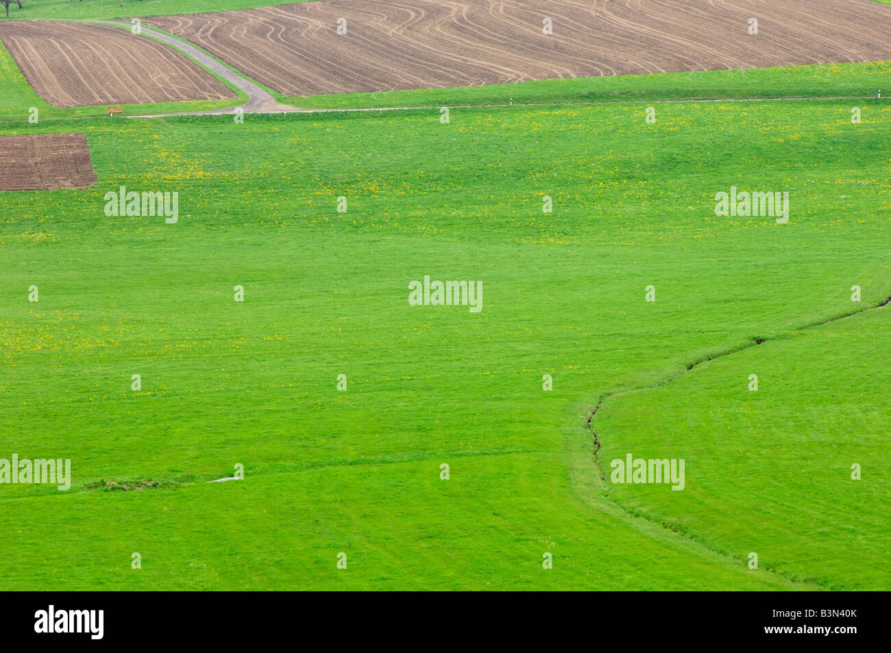 Germany, Ravensburg, Landscape, Farmland Stock Photo - Alamy