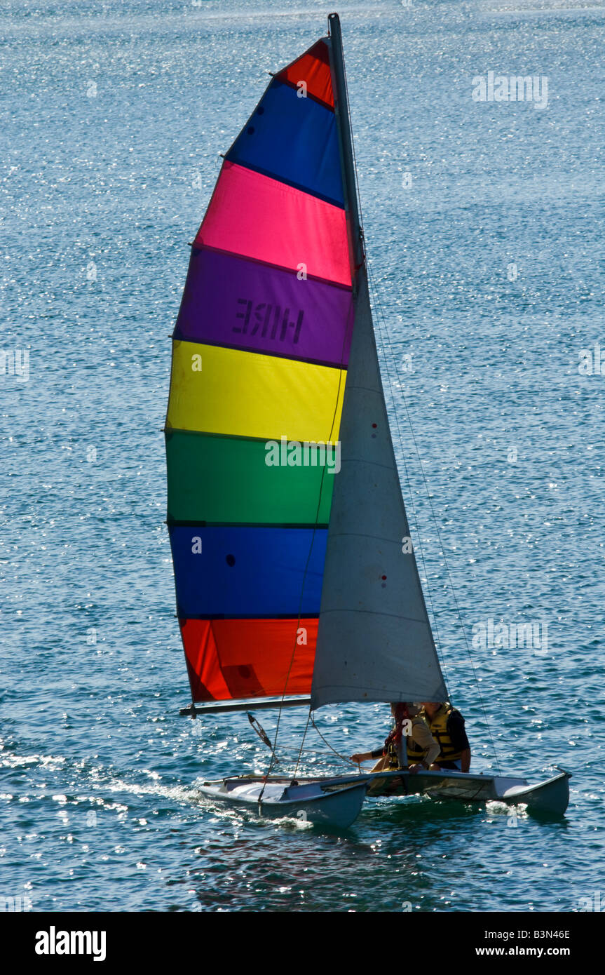 Catamaran with colourful sail Stock Photo - Alamy