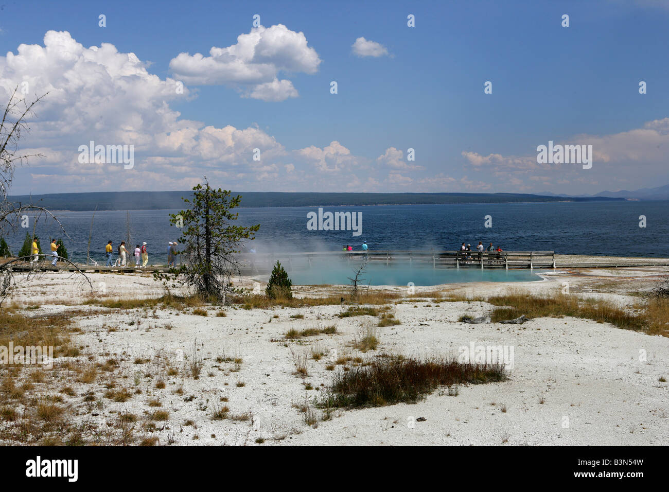 nature scene,yellowstone national park Stock Photo - Alamy