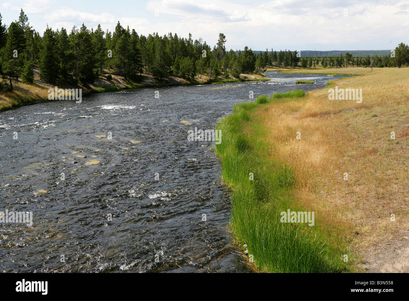 nature scene,yellowstone national park Stock Photo - Alamy
