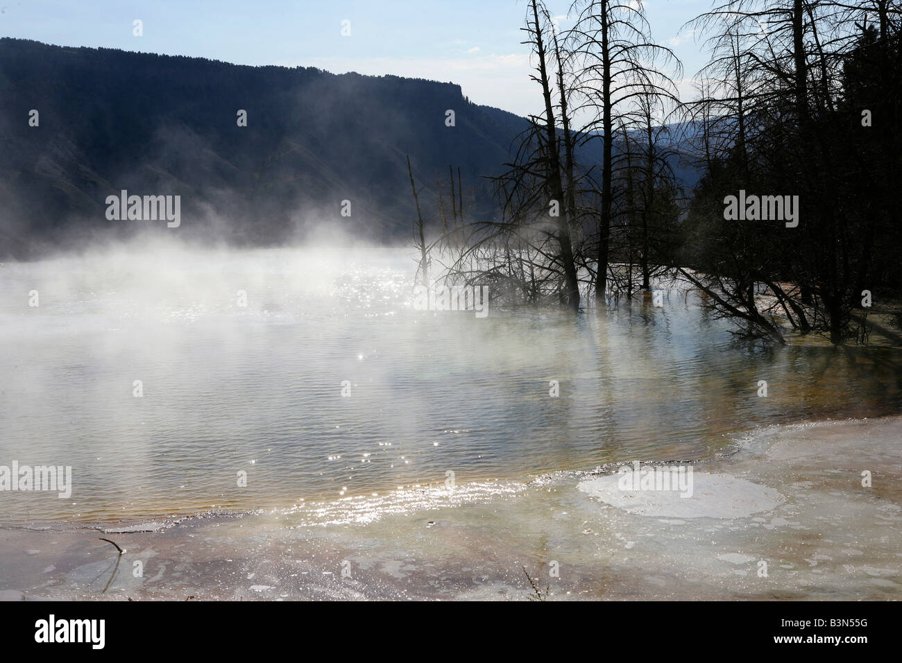 nature scene,yellowstone national park Stock Photo - Alamy