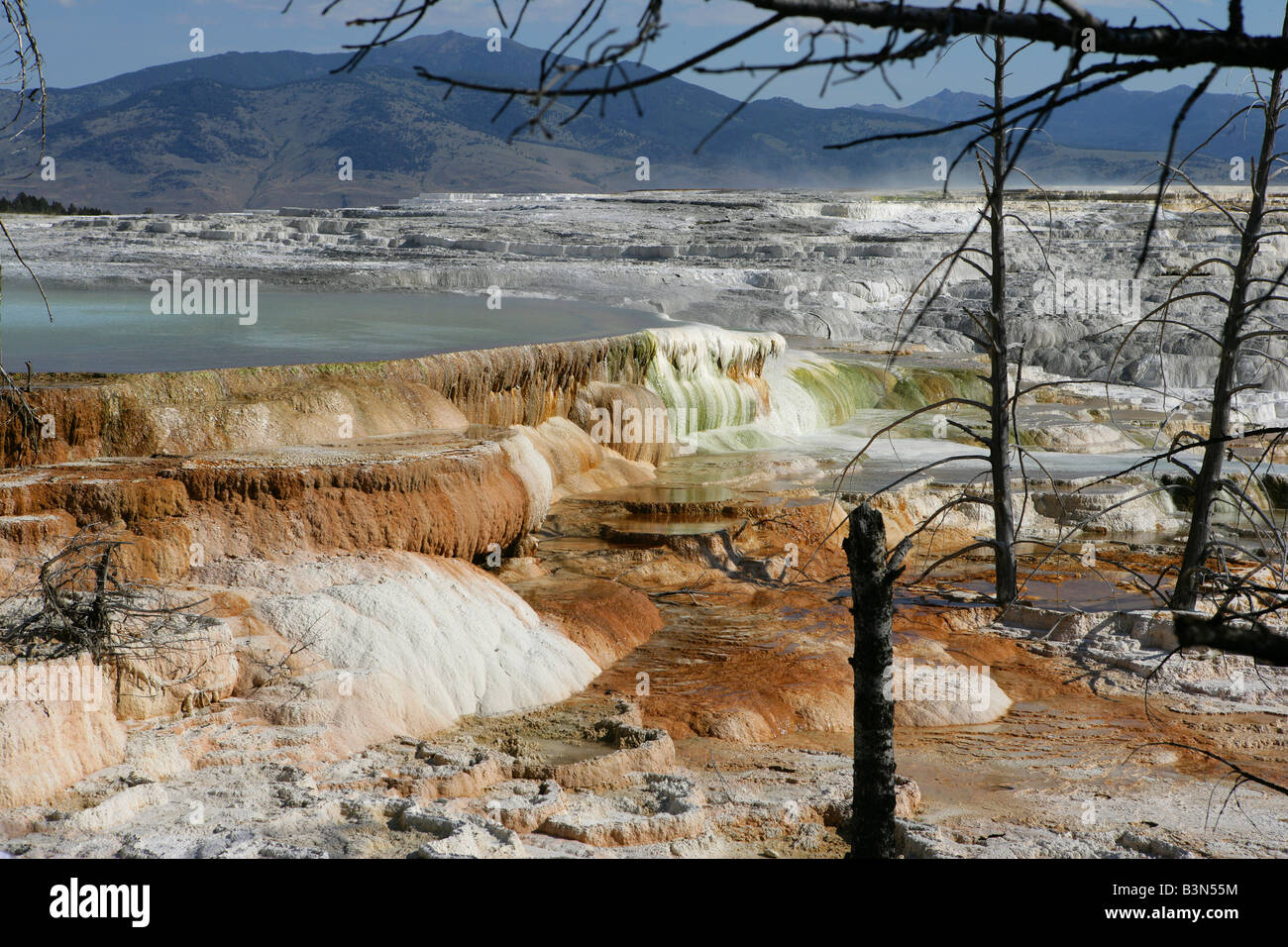 nature scene,yellowstone national park Stock Photo - Alamy