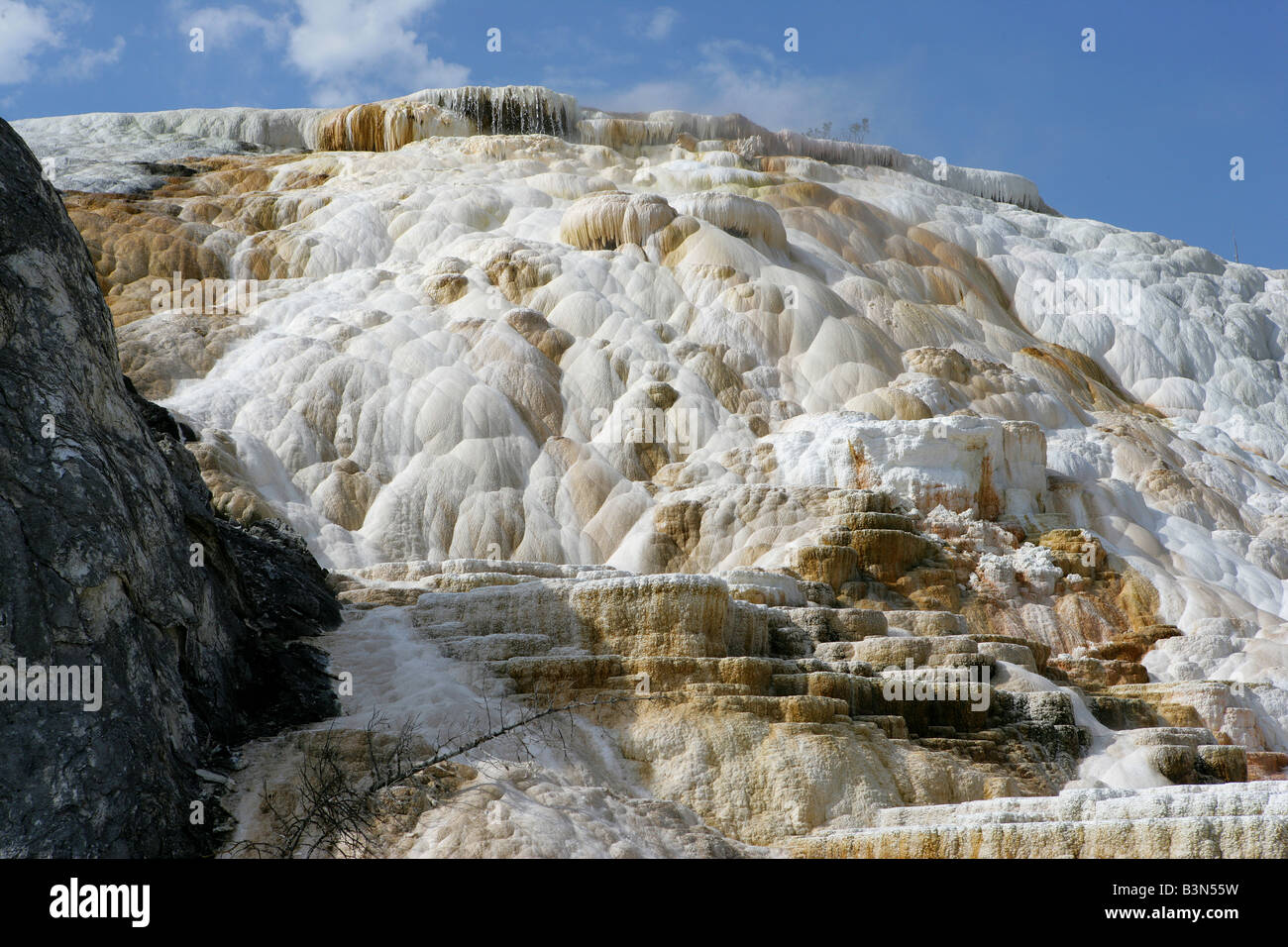 nature scene,yellowstone national park Stock Photo - Alamy