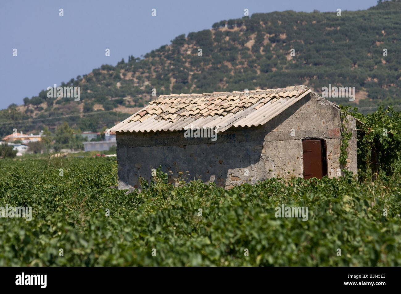 Vineyard building hi-res stock photography and images - Alamy