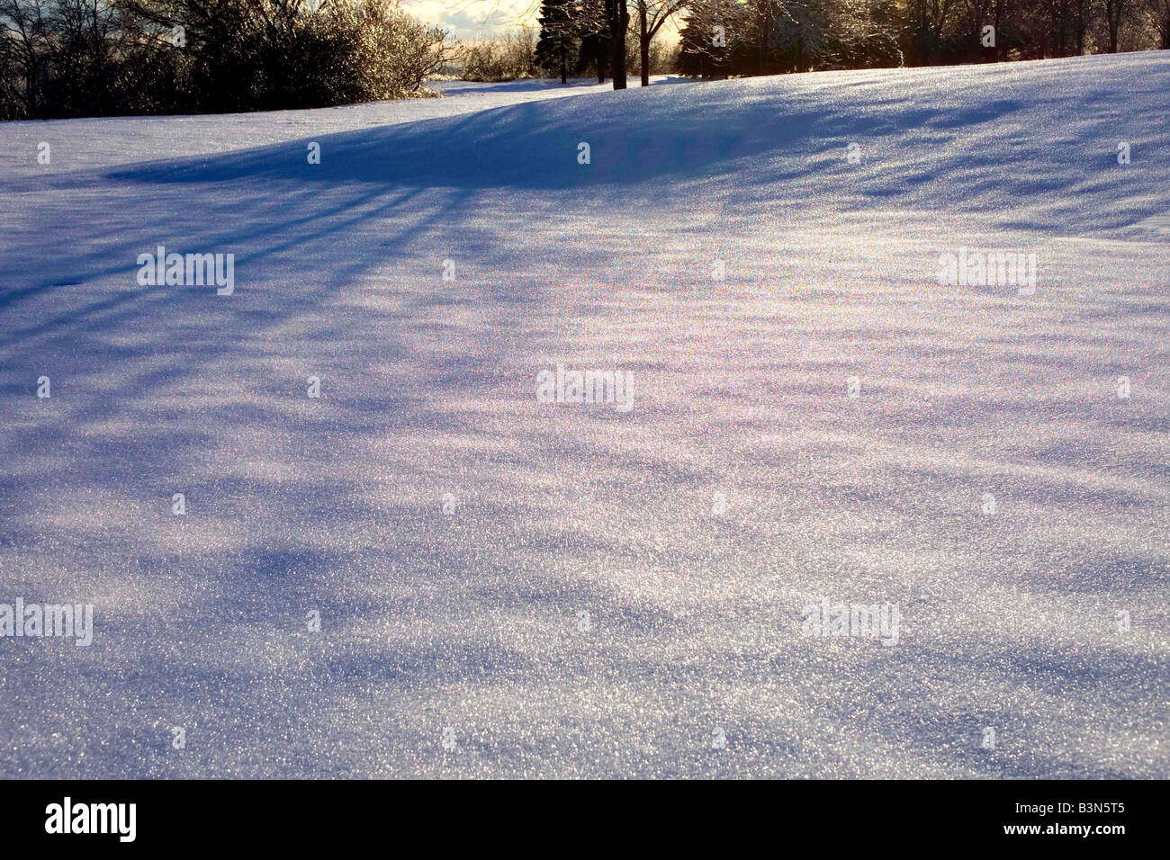 Crusty snow hi-res stock photography and images - Alamy