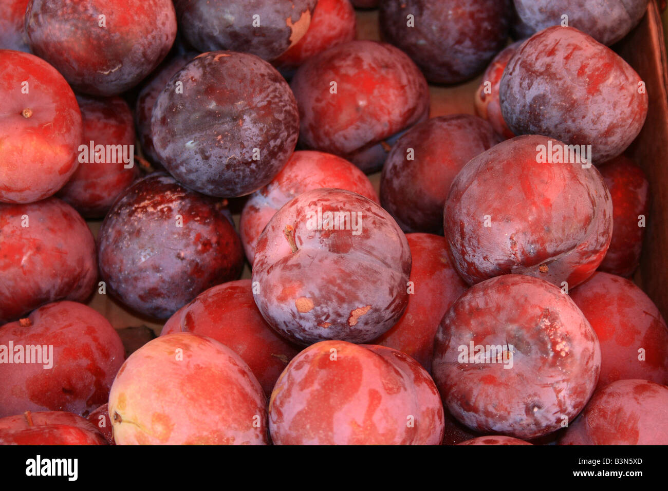Bunch of red plums Stock Photo - Alamy