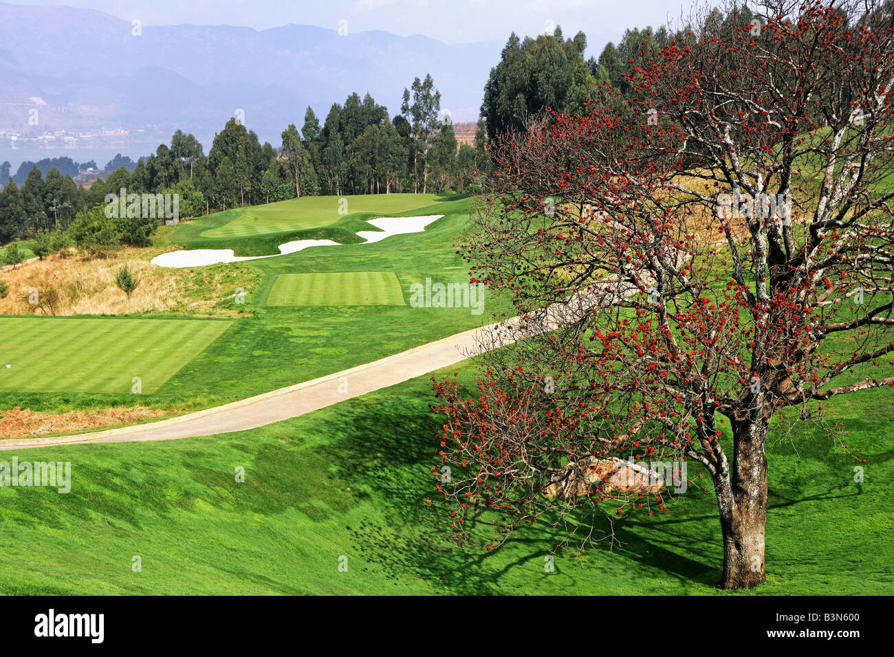 Golf Course View Stock Photo - Alamy