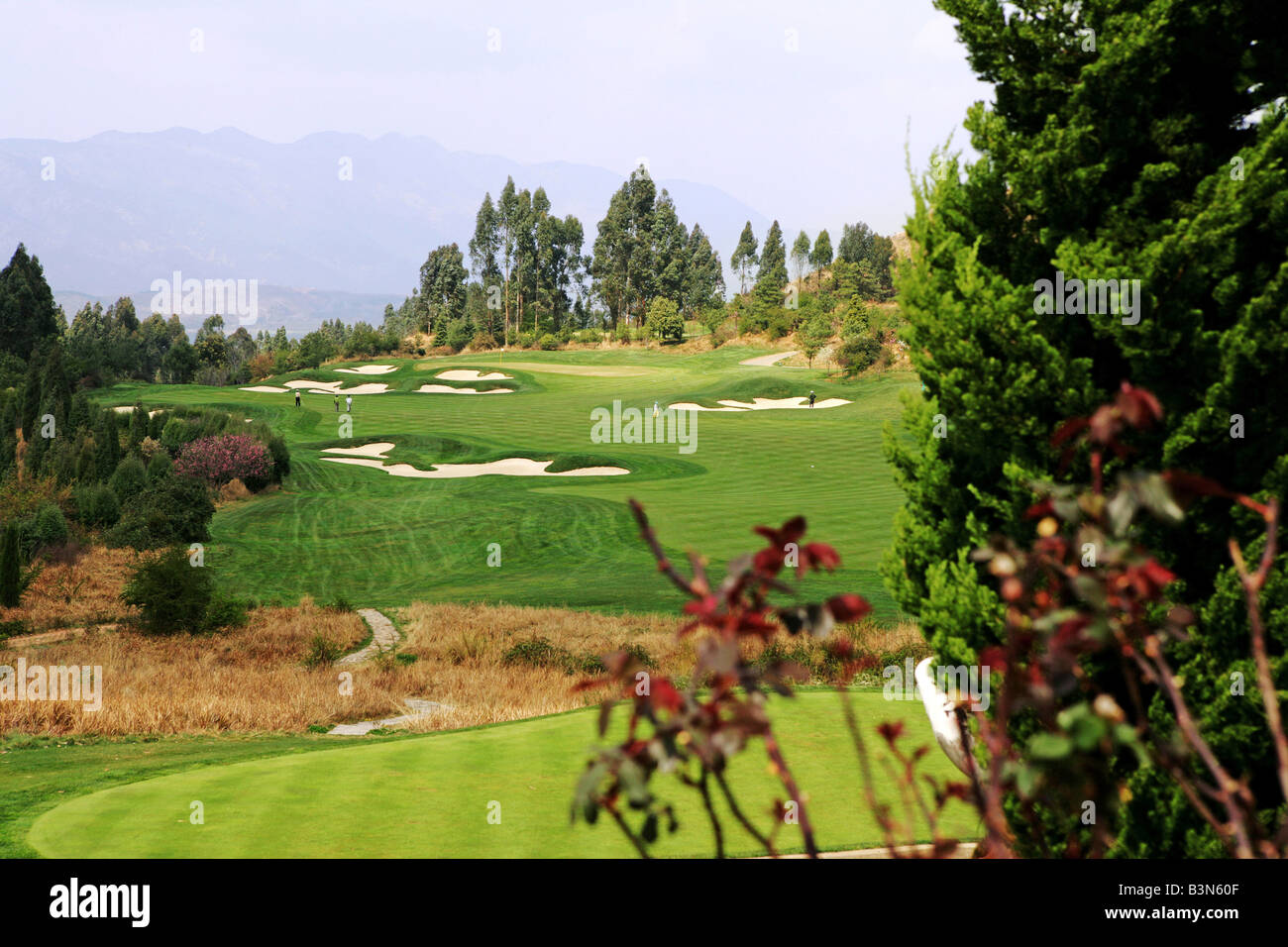 Golf Course View Stock Photo - Alamy