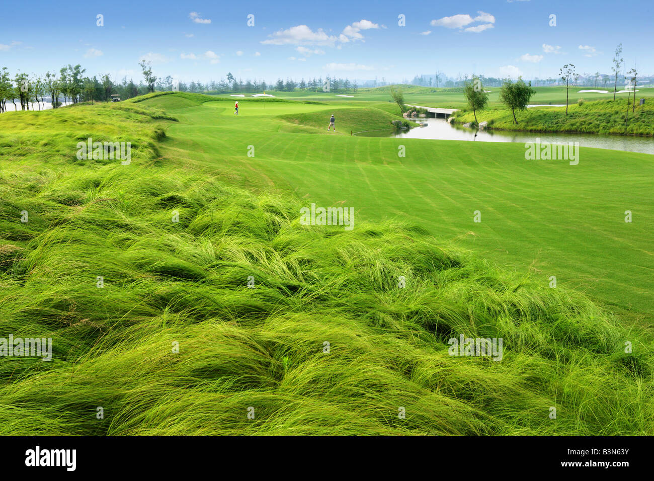 Golf Course View Stock Photo - Alamy